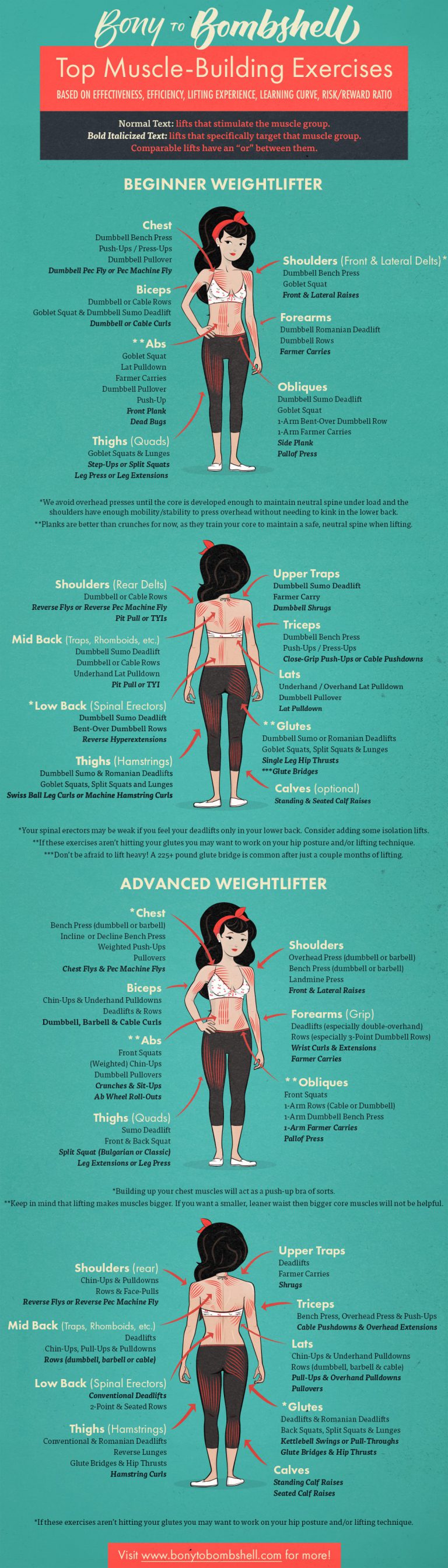 The Best Muscle-Building Exercises For Women — Bony to Bombshell