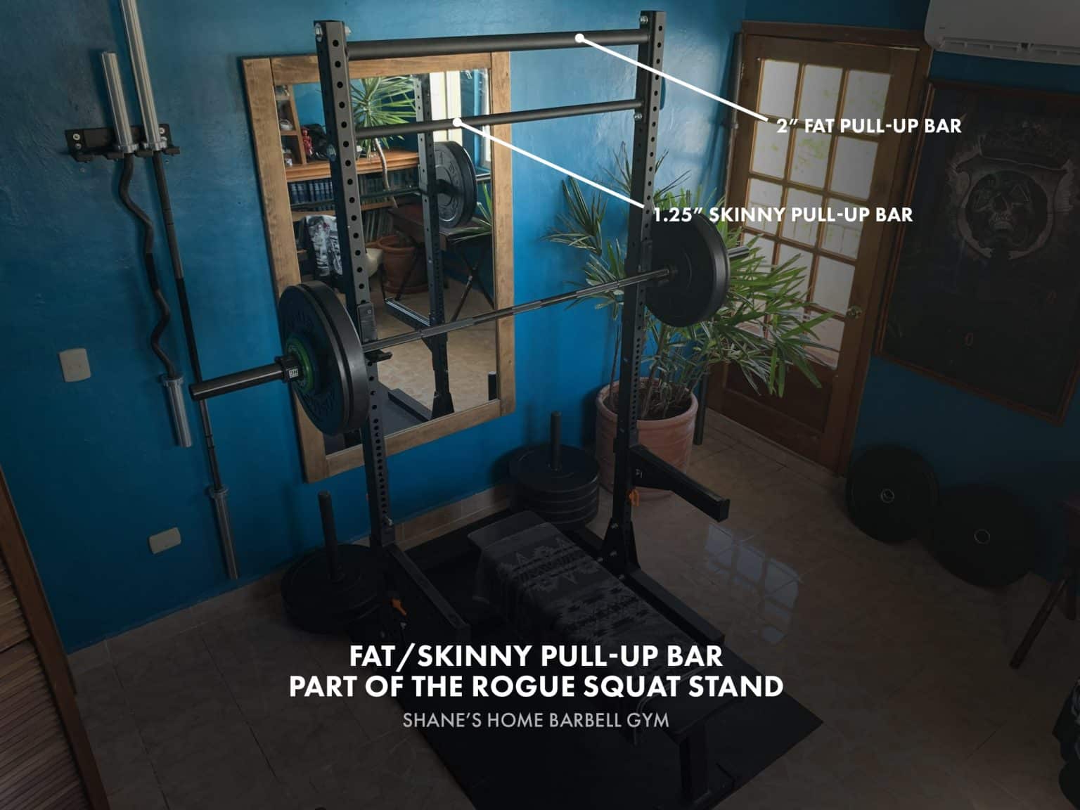 Beginner Chin-Up Guide for Women: Get Your First Chin-Up